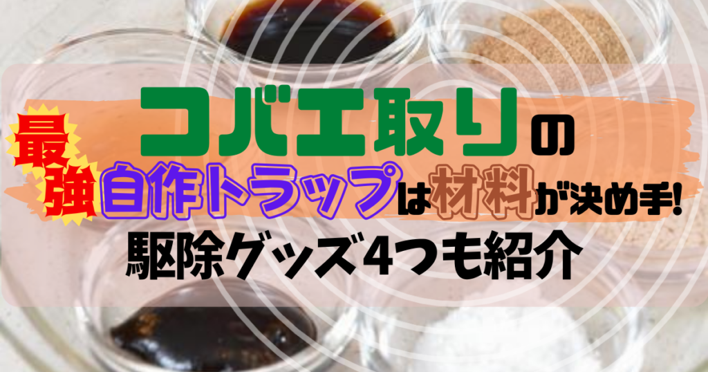 コバエ取りの最強自作トラップは材料が決め手!駆除グッズ4つも紹介